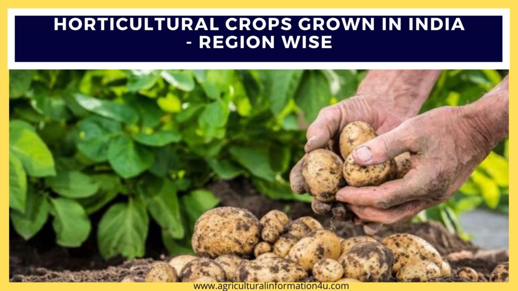 Horticulture Farming What Are The Types Of Horticulture Crops Grown In Horticulture Farming What Are The Types Of Horticulture Crops Grown In