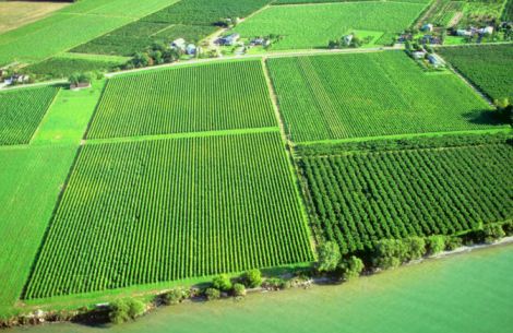 Agriculture Land Measurement Units and Area Conversion Table: How to ...