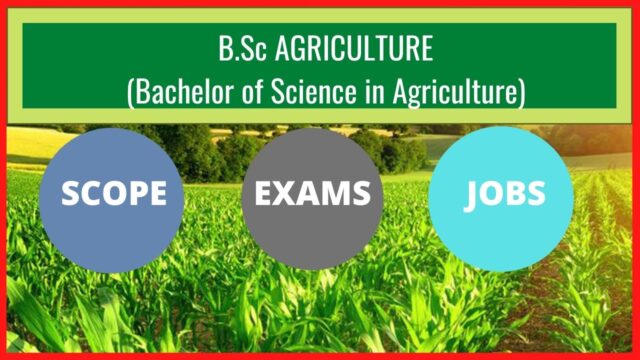 BSc Agriculture scope in India and Career Opportunities