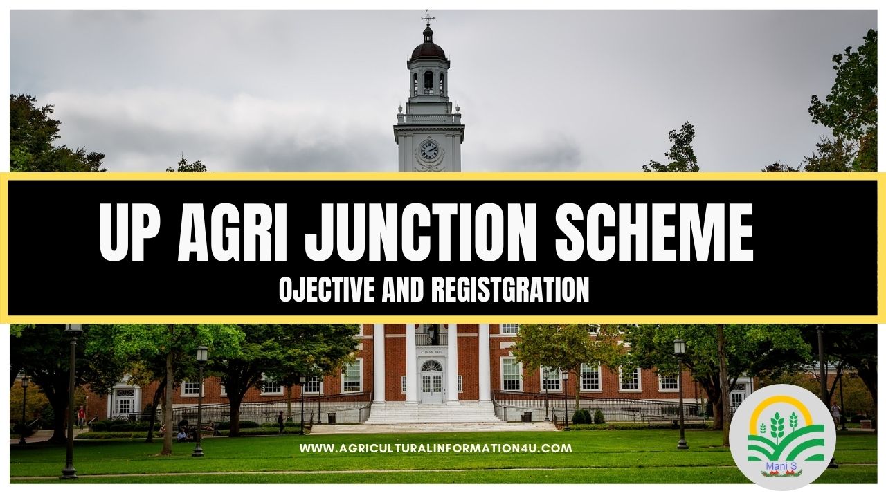 UP Agri Junction Scheme and its application process